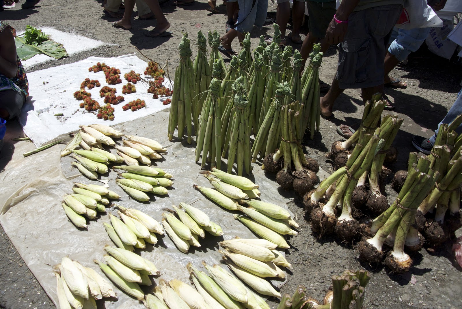 Top Tips for Dining in Papua New Guinea - Paga Hill Estate - Port ...