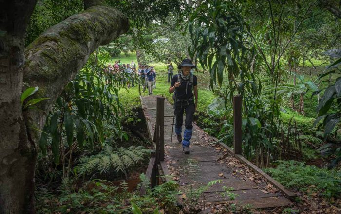 Port Moresby Nature Park Archives - Paga Hill Estate - Port Moresby ...